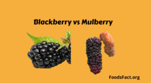 Blackberry vs Mulberry: A Comparison of the Two - Foods Fact
